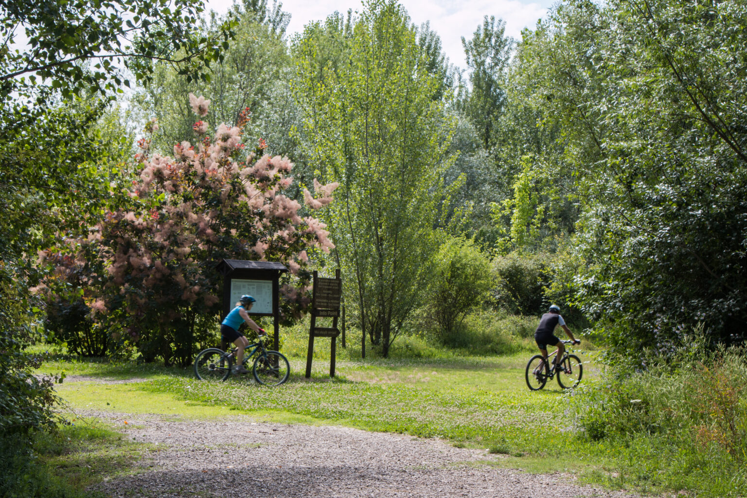 Parco dei Renai – Pro Loco Signa A.P.S.